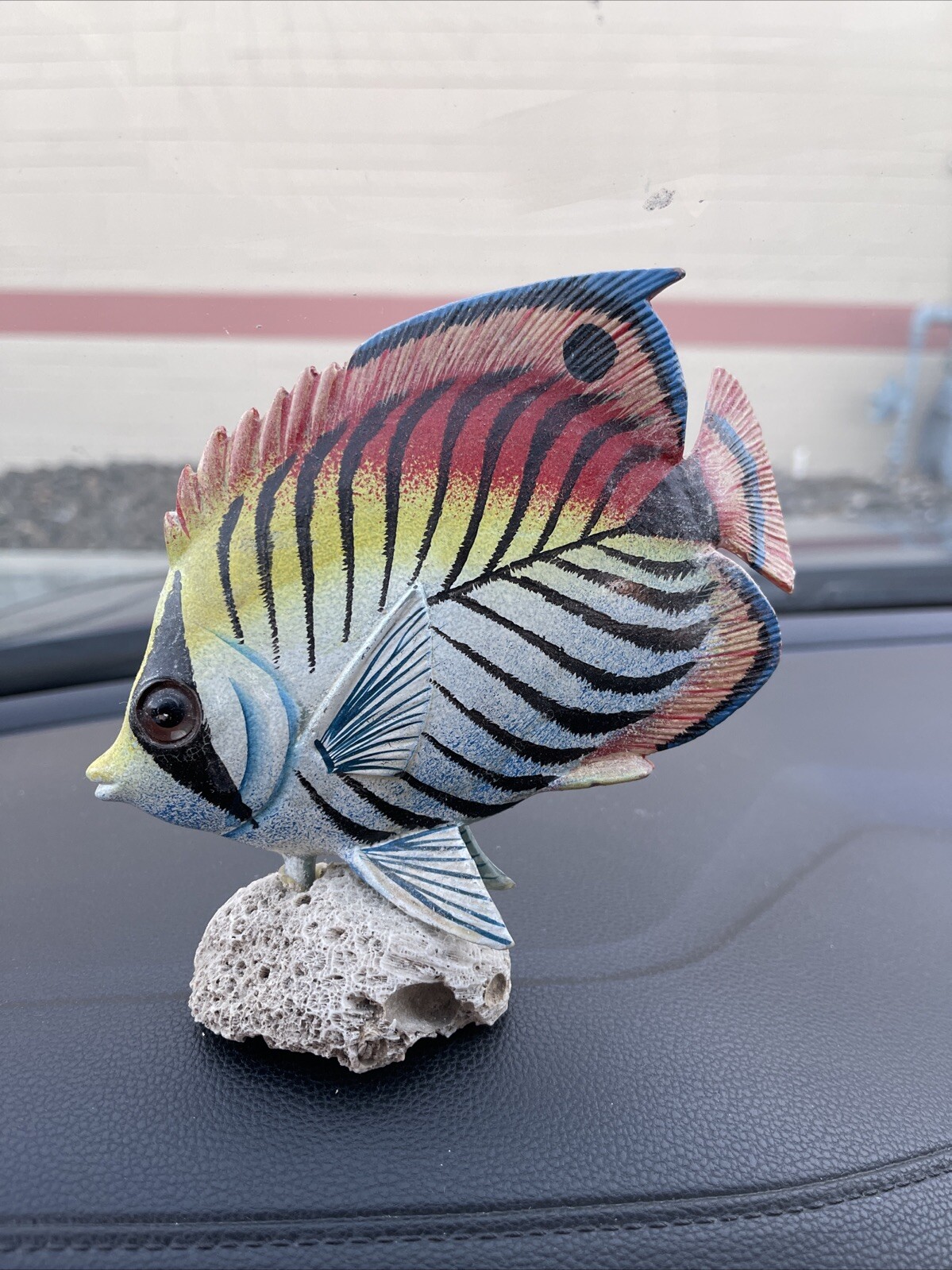 Hand Carved Hand Painted Tropical Fish on Real Coral Base 6" x 6" x 2 ...