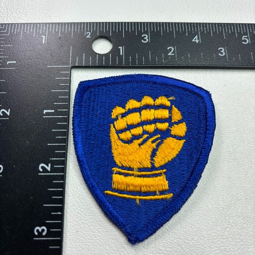 FIST United States Army 46TH INFANTRY BRIGADE Patch 39RE | eBay