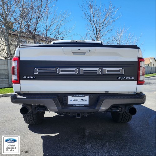 2021-2023 Ford Raptor F-150 tailgate Letter Outlines - vinyl decals ...