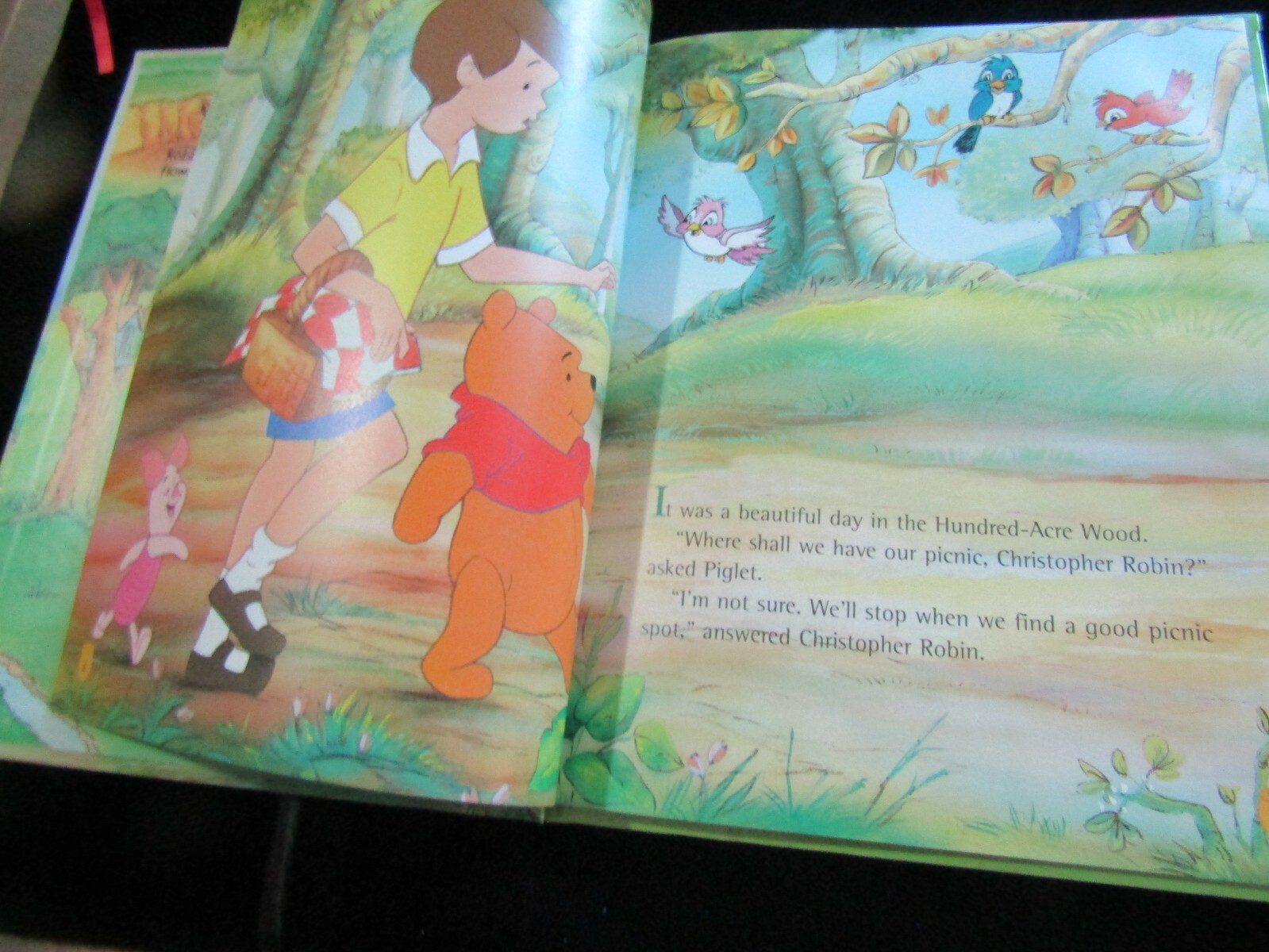 Disney's Winnie The Pooh How To Catch a Heffalump Book 2005 | eBay ...