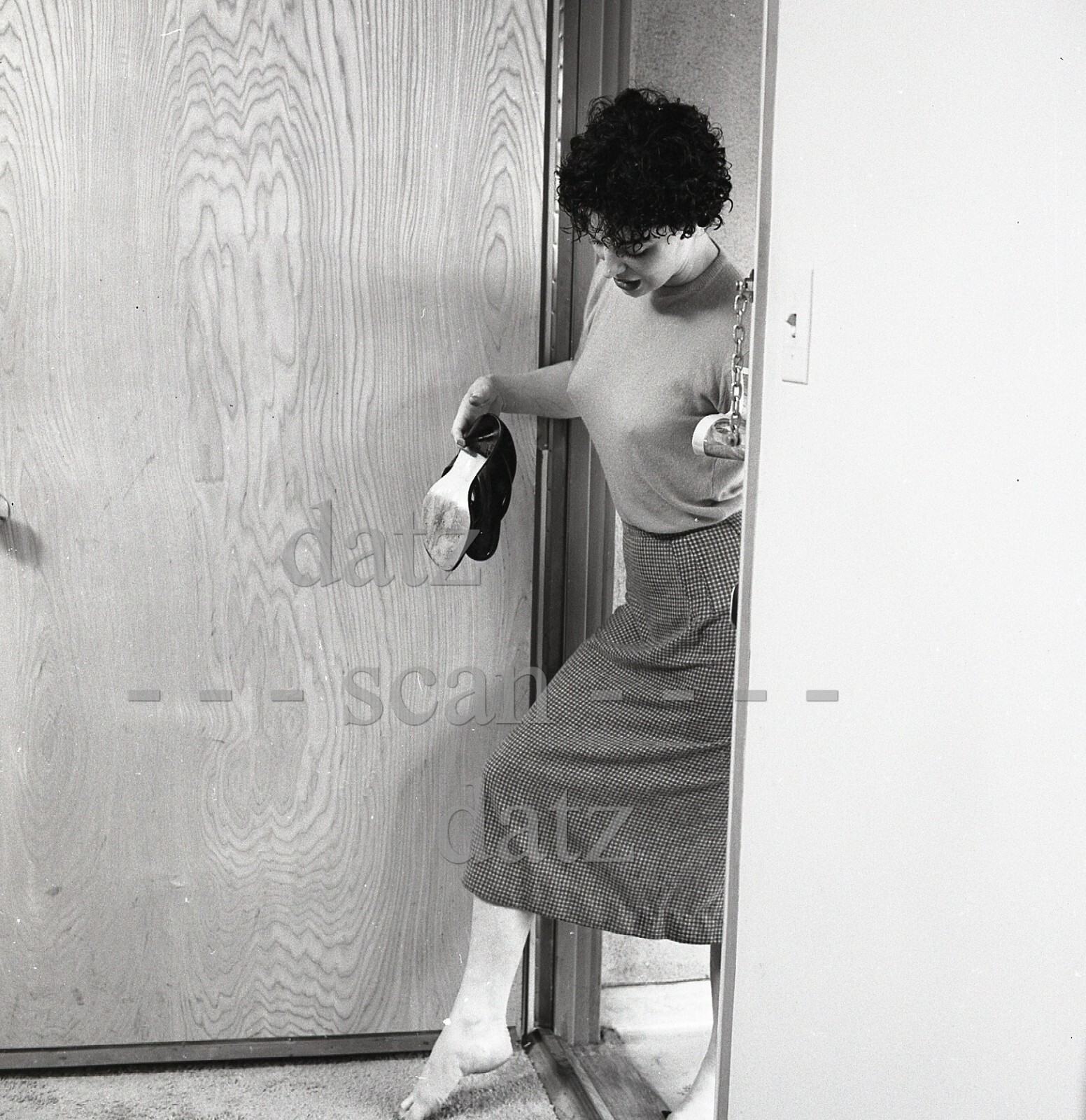 1950s Ron Vogel Negative-sexy brunette pinup girl Joan Grant-cheesecake ...