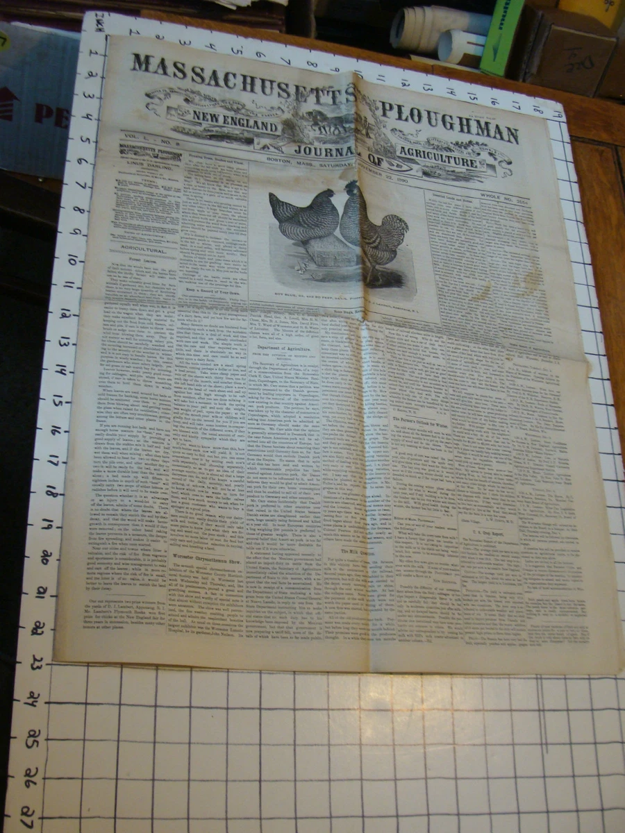 1890 Old Newspaper Cover