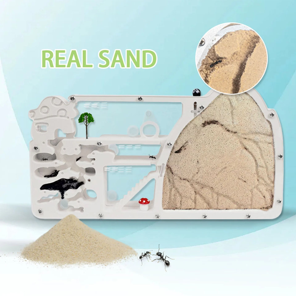 Educational Ant Farm Kit for Kids and Adults - Observation Terrarium ...