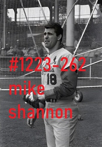 VINTAGE MALE PORTRAIT #1223-262 -mike shannon , baseball -free shipping ...
