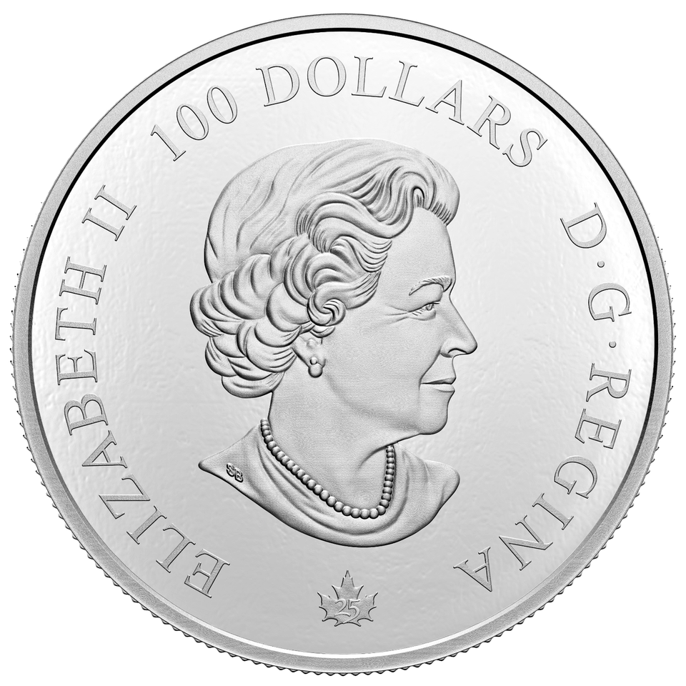 2021 Canada $100 Our National Colors - 10oz Pure Silver Coin | eBay
