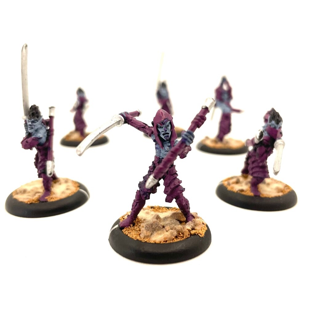 Blighted Swordsmen 6 Painted Miniatures Legion of Everblight Hordes | eBay