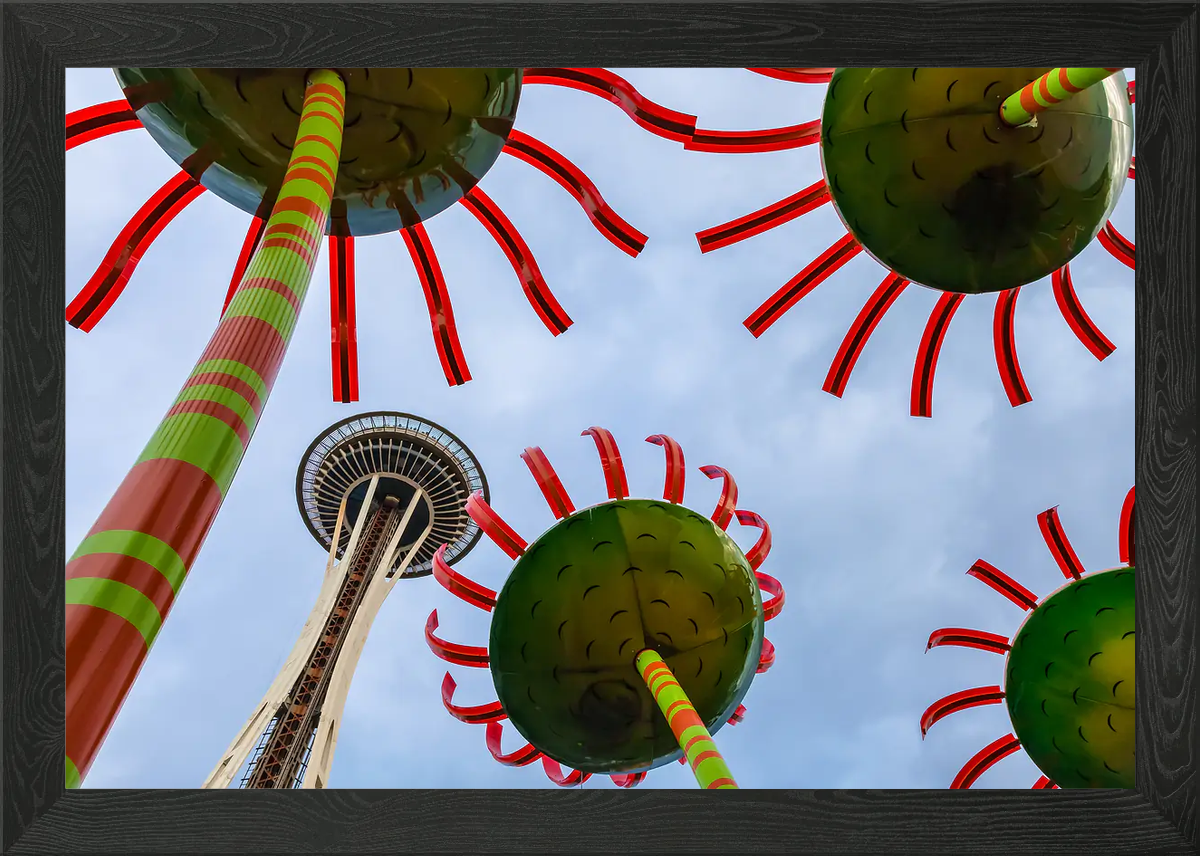 Seattle Space Needle with Flower Sc Framed Wall Art Poster Canvas Print ...