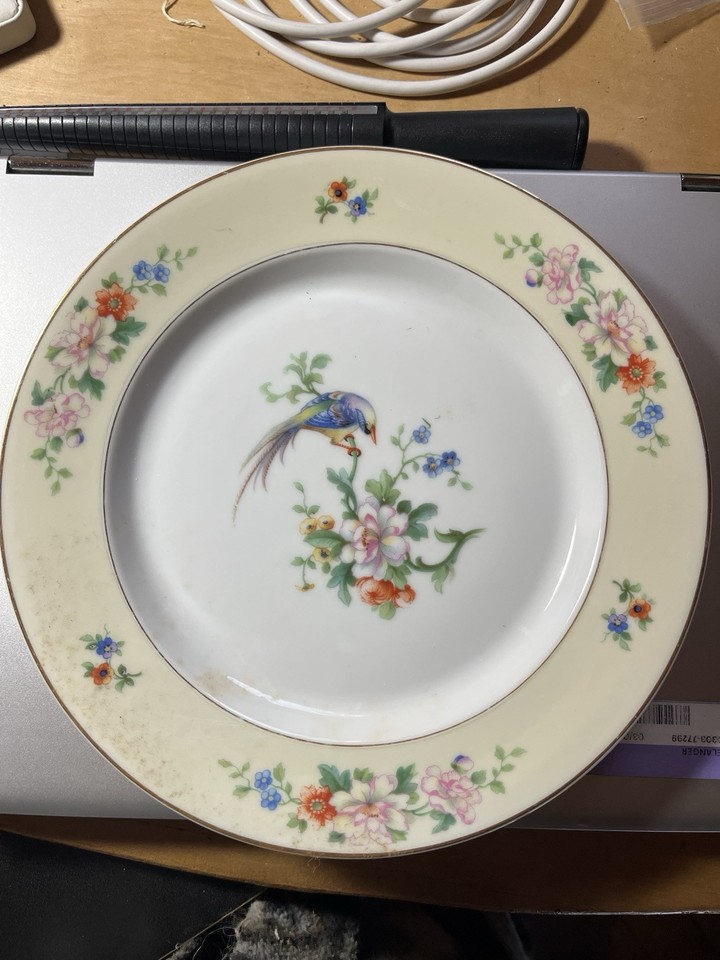 Heinrich Songbird 8” Plates (set of 2) Bulgaria Germany HC Selb China ...