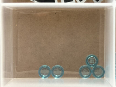 LEGO Parts - Trans-Light Blue Tile, Round 1 x 1 - No 98138 - QTY 5 | eBay