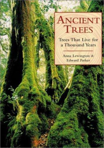 Ancient Trees : Trees That Live for 1,000 Years by Edward Parker and ...