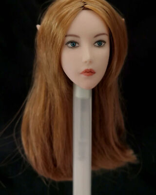 Elf Girl European Female Head Carving Sculpt 1/6 Scale Fit 12 ...