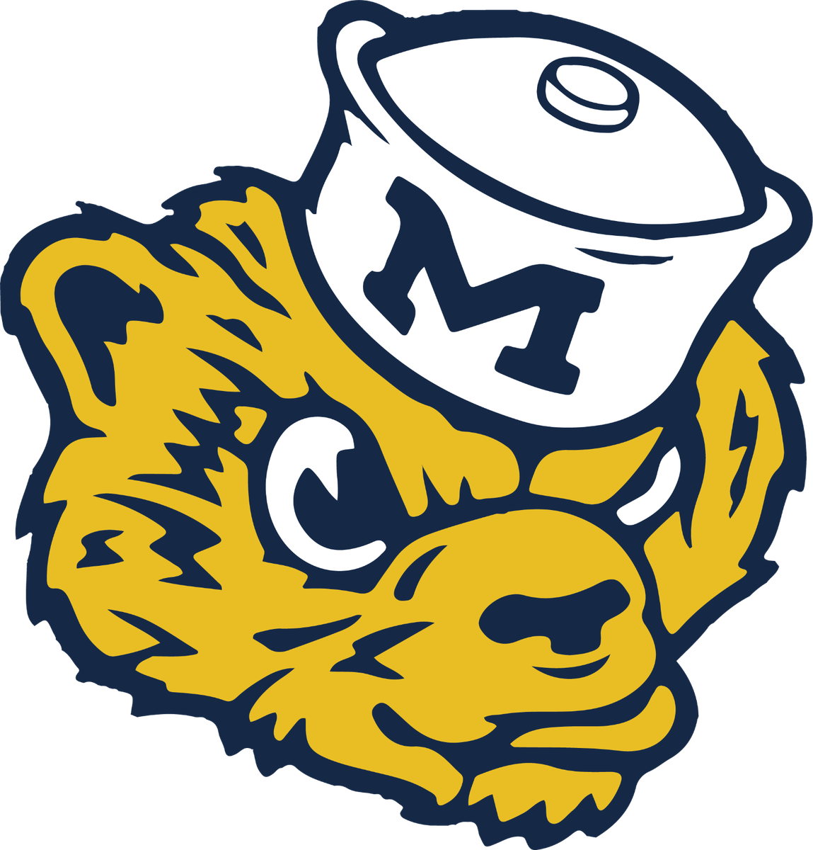 Univ Of Michigan Logo University Of Michigan Block M Blue 21" X 15"