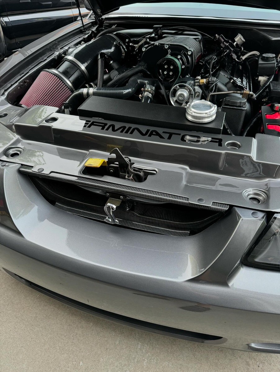 1999-2004 Mustang Filler Panel Radiator Grille Delete Cover For 1999 ...