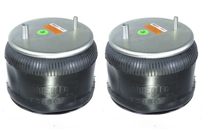 Pair of Trailer Air Spring Bag Replaces W01-358-9807 90557363, 90557372 ...