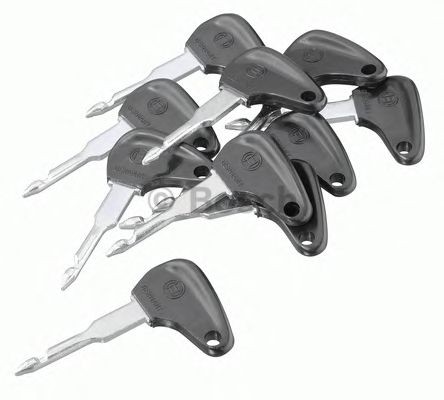 Bosch Ignition Switch Key Pack Of 10 3341982101 | eBay Australia
