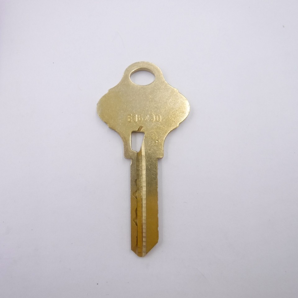 50 Pack Schlage Everest 29 Primus XP Keys Blanks Gold Finish 35-215-XP ...