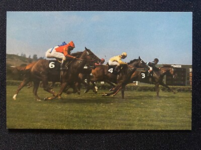 Vintage Horse Racing Postcard. Del Mar Race Track, California | eBay