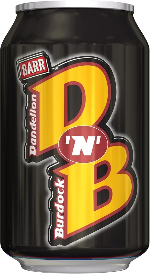 DNB 24 Pack Dandelion and Burdock, Zero No Sugar Flavoured Fizzy Drink ...