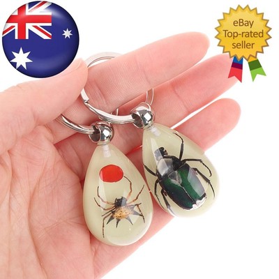 Glow-in-the-Dark Real Insect Resin Keychain - Unique Specimen Gift ...