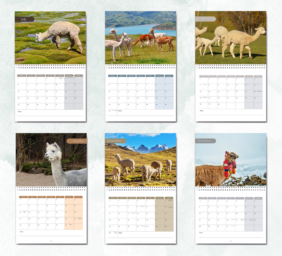 Alpacas Calendar 2026: Monthly Wall Calendar with Notes, opens to A3 ...