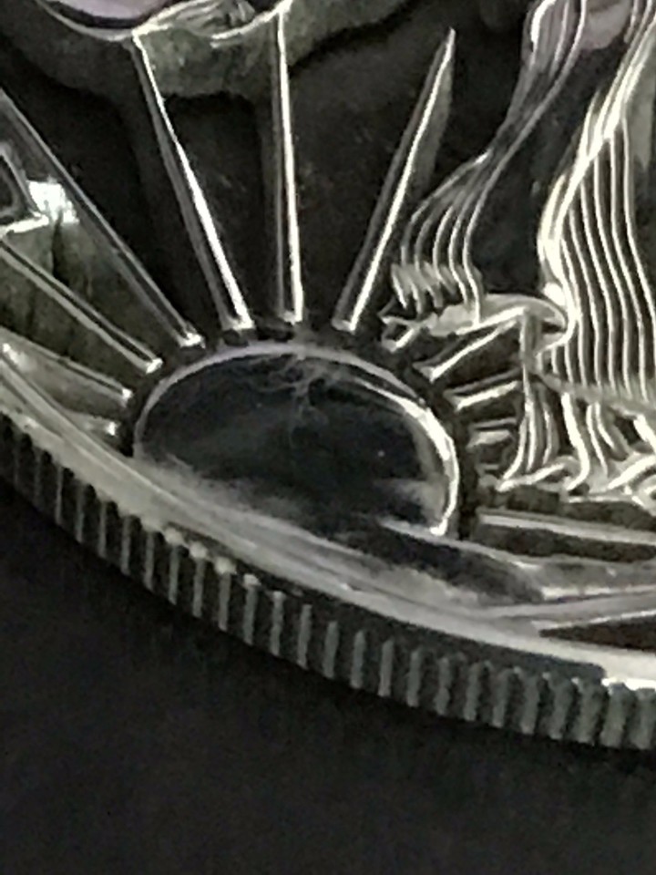 Silver Eagle 1 oz USA American USA Dollar Cut Coin Money Clip Jewelry ...