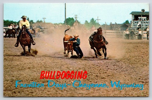 Cowboy Rodeo Riding Calf Roping Postcard Bulldogging Cheyenne WY ...