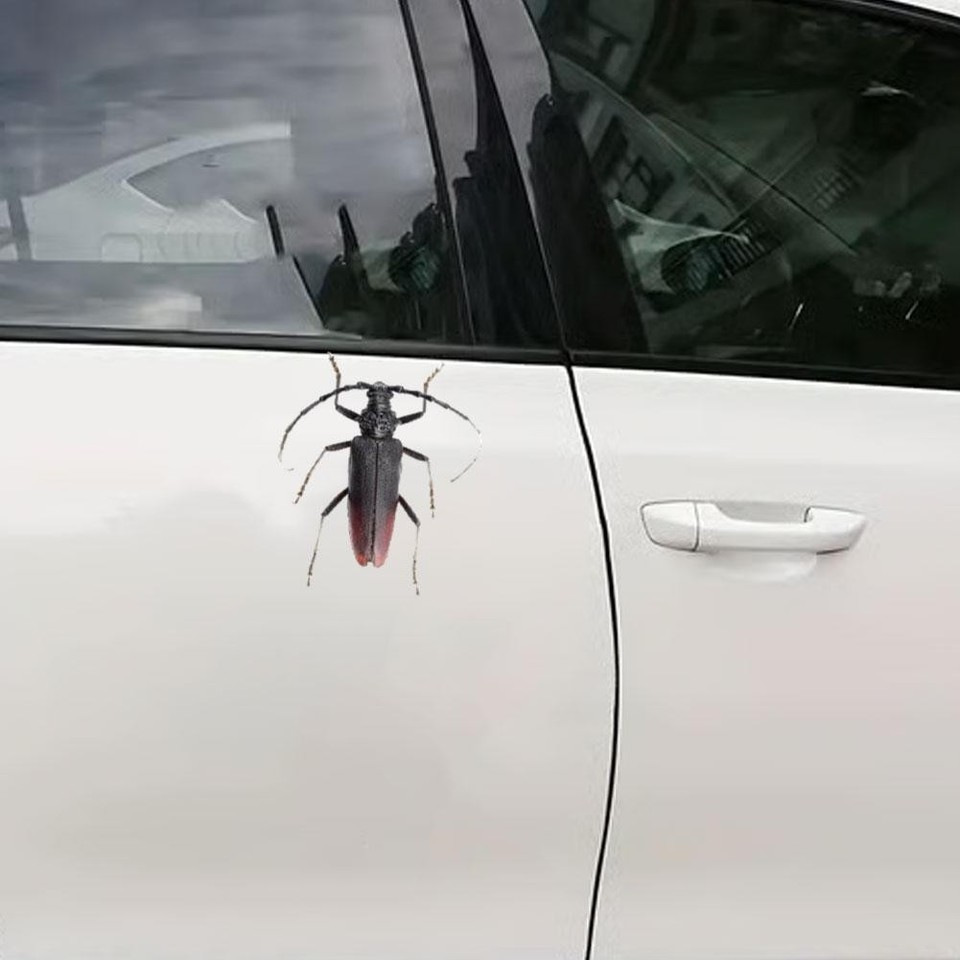 3D Insect Car Stickers Dragon Fly Decals Car | Vinyl NEW~ Decal For Car ...