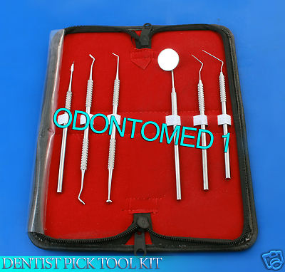6 PCS DENTAL DENTIST PICK TOOL KIT SURGICAL DENTAL INSTRUMENTS PR-303 ...