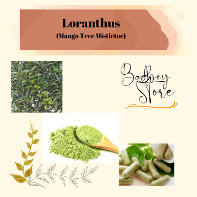 POWDER Mango Tree Mistletoe Loranthus Organic | eBay