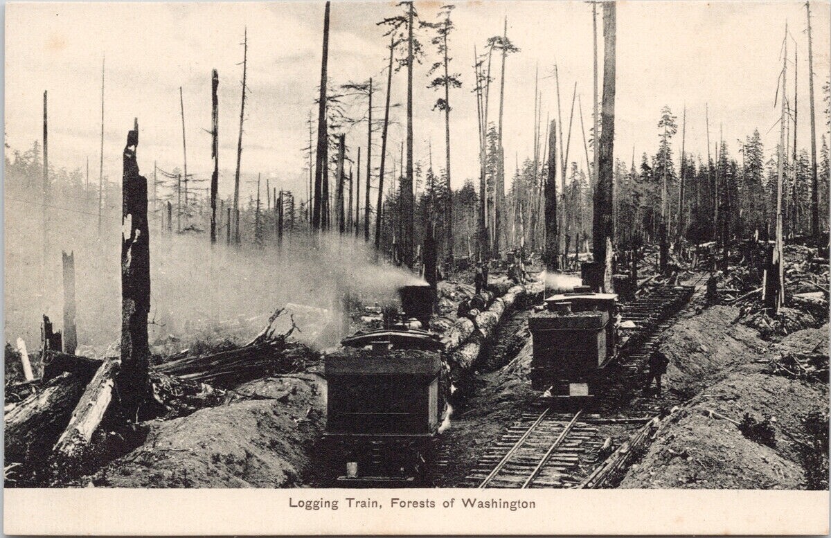 Logging Train Forests of Washington WA Loggers Logging Industry ...