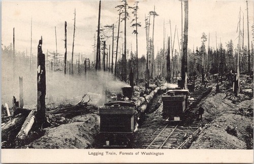 Logging Train Forests of Washington WA Loggers Logging Industry ...