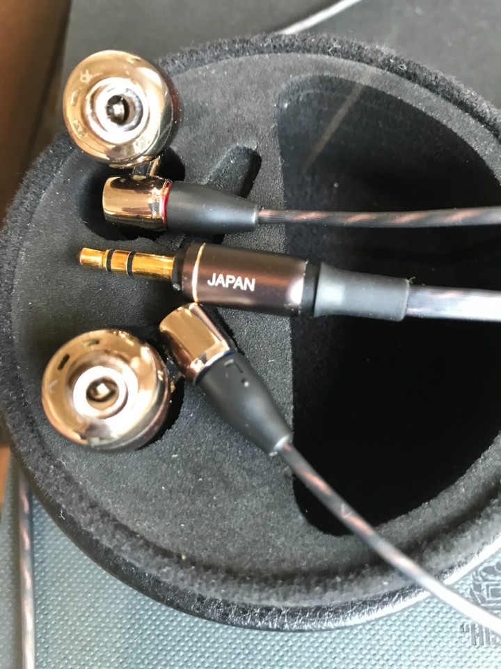 JVC Victor HA-FW10000 WOOD Series Canal Type Earphone Black High-res | eBay