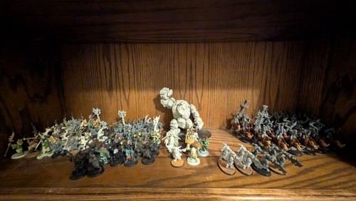 Warhammer Age of Sigmar / Fantasy Bonesplitterz Army Lot. includes ...