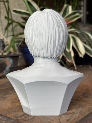 Star Trek TOS Pavel Chekov 3D Printed Bust – 6.5” Display Figure | eBay