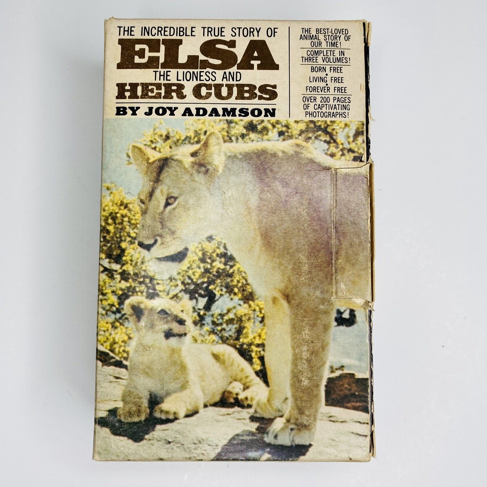 The Incredible True Story of Elsa The Lioness & Her Cubs 3 Books Boxed ...