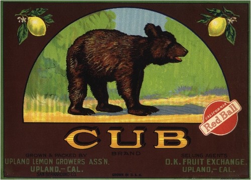 Upland Grizzly Brown Bear Cub #2 Lemon Citrus Fruit Crate Label Art ...