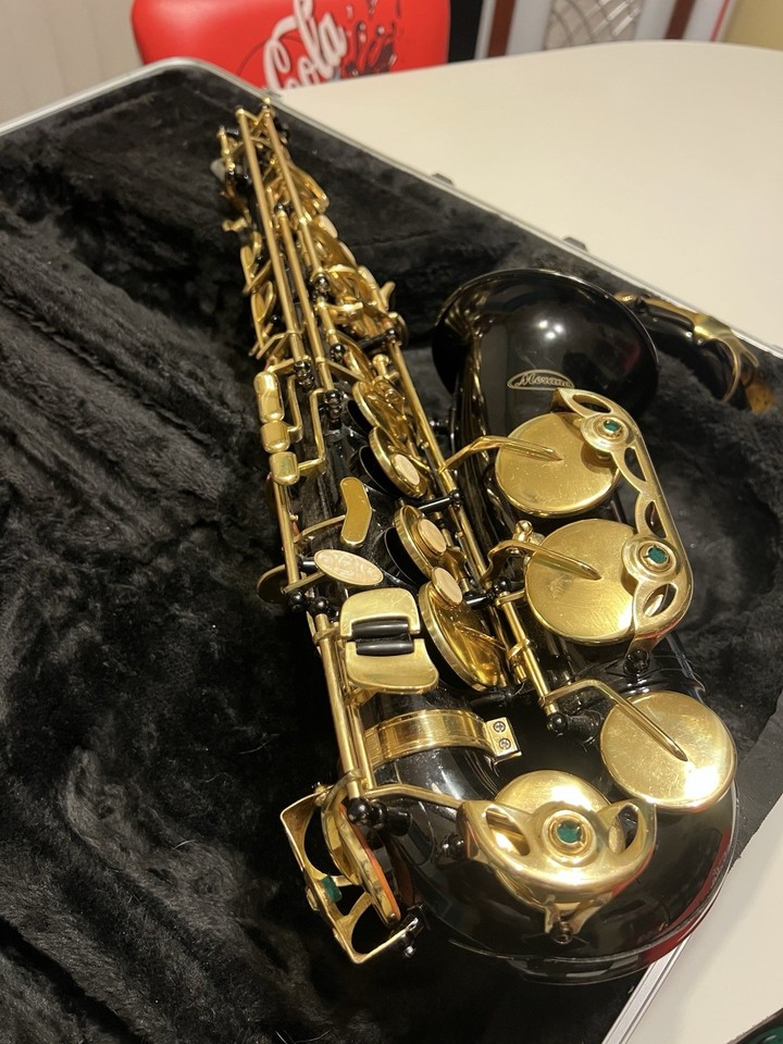 Bundy Alto Saxophone Musical Instrument with Hard Case | eBay
