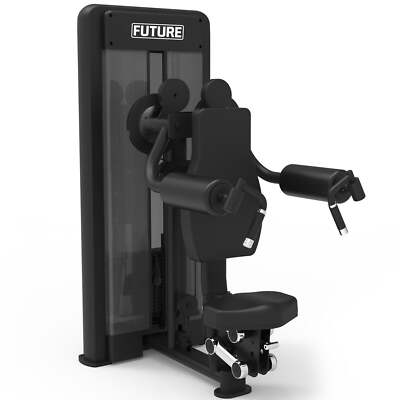 Future Elite Series Commercial Lateral Delt Raise (Commercial Gym ...