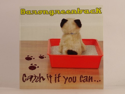 BARON GREENBACK CATCH IT IF YOU CAN (557) 12 Track Promo CD Album ...