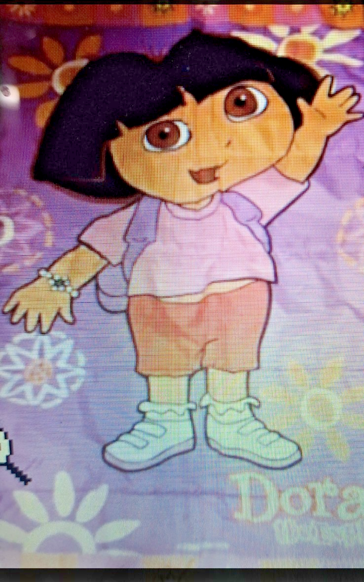 Dora the Explorer Sleeping Bag | eBay