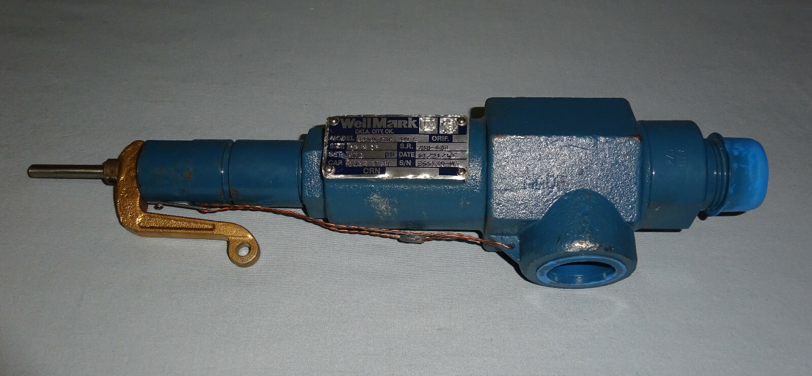 WellMark W9501-RSA 400 L Safety Relief Valve Pressure Relief 1" NPT ...