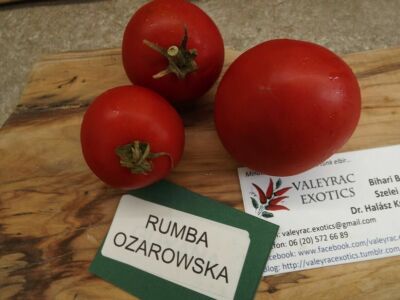 Rumba Ozarowska Tomato - 5+ seeds - Heirloom Vegetable Seeds! P 286 ...