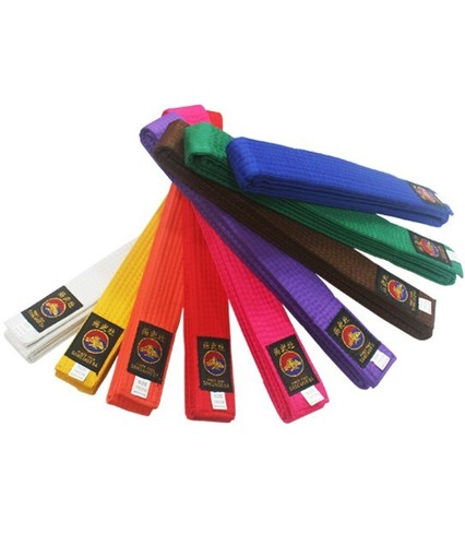 Taekwondo Belt 9 Colors Taekwon Jujitsu Hapkido Martial Arts Belt Sash ...