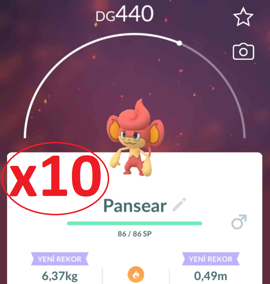 Pokemon Pansear x10 GO - Fast Delivery - Chance of Lucky !! | eBay