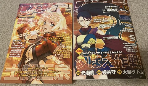 Monthly Comic Ryu manga magazines, Set Of 11 from 2007-2011, Japanese ...