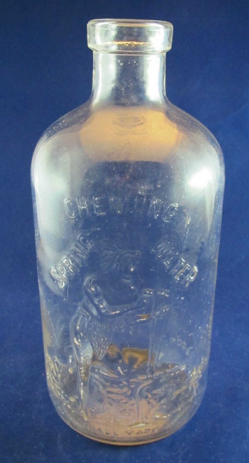 Original Vintage Chemung Spring Water Bottle- NY- Indian- Embossed 64 ...