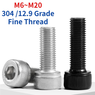 Fine Thread Hex Socket Head Cap Screw Allen Bolt 304 /12.9 Grade M6-M20 ...