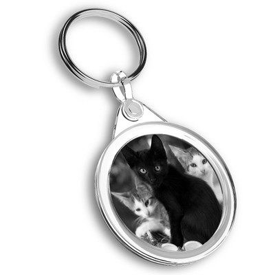 Keyring Circle - BW - Cute Kittens Black Tabby Ginger Cat #43908 | eBay UK