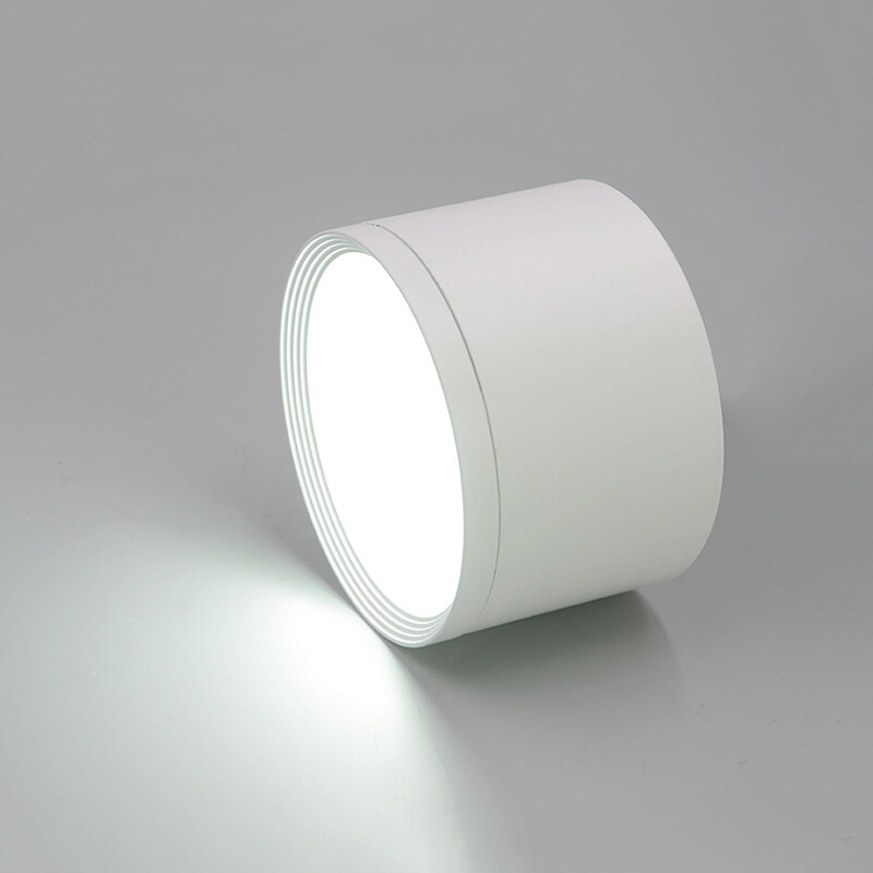 LED Ceiling Lamp Acrylic Downlight Fixture Dimmable/N Anti-fog Light ...