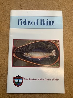 fishes in maine, inland fisheries & wildlife, freshwater fish fisherman ...